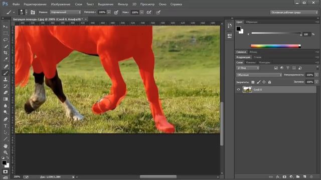 How to cut a complex object in Photoshop (layer mask)