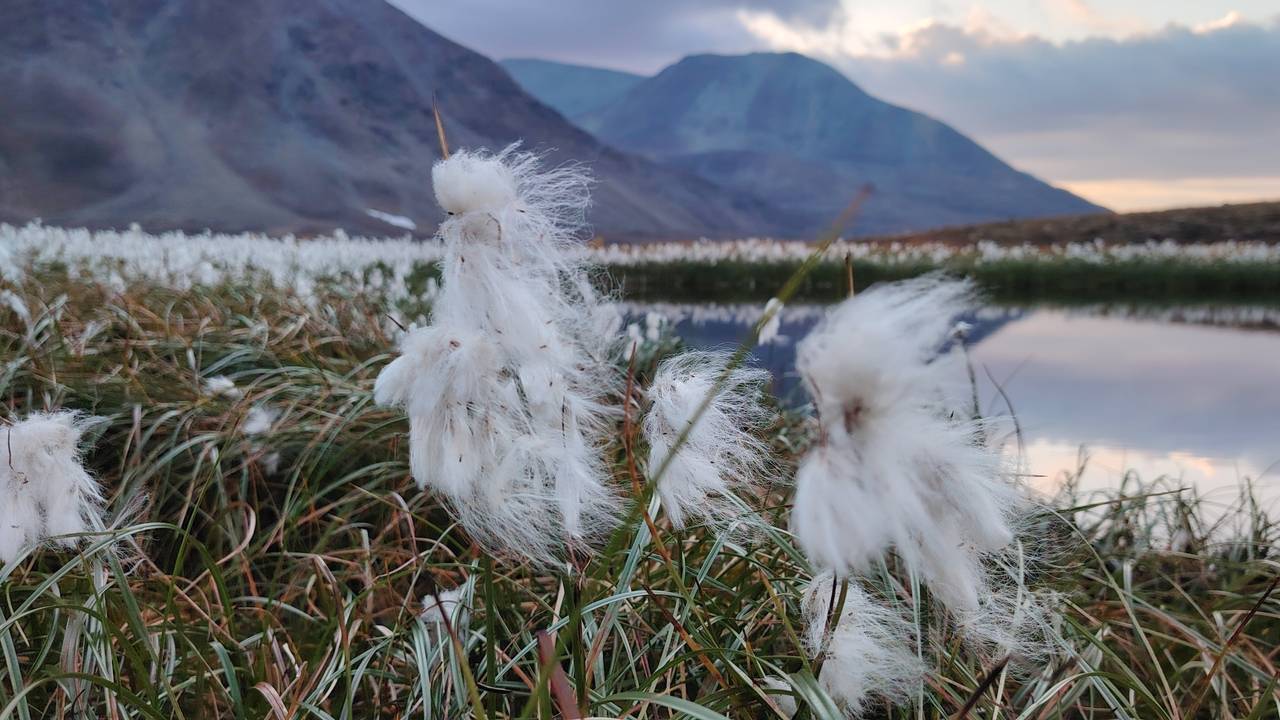Ледник Топографов. Макар-Рузь.
Полярный Урал. Рай-Из.