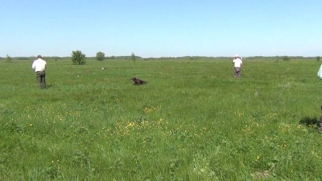 Кубок Либеровенто. Барраж.