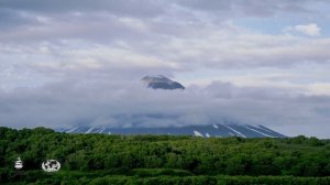 Экотуризм в стране медведей | Ecotourism in a Land of Bears