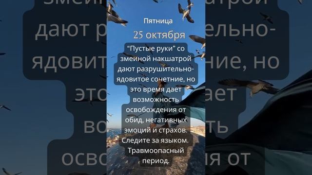 Прогноз на 25 октября