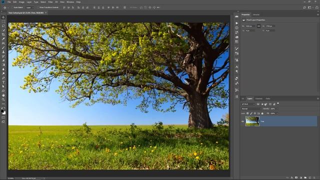 Two POWERFUL Photoshop Cut Out Techniques - Difficult Selections Made FAST and EASY