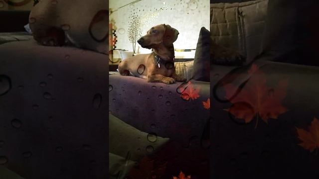 Вот и лето прошло