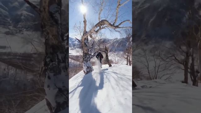 Фрирайд на Камчатке выглядит именно так #freeride #skiing #travel #путешествие