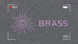 Выставочный патруль BRASS: Юмористично - Танцевальная зарисовка-интервью на выставке Мебель-2019 💃