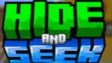 Играю в hide and seek на сервере в майнкрафт