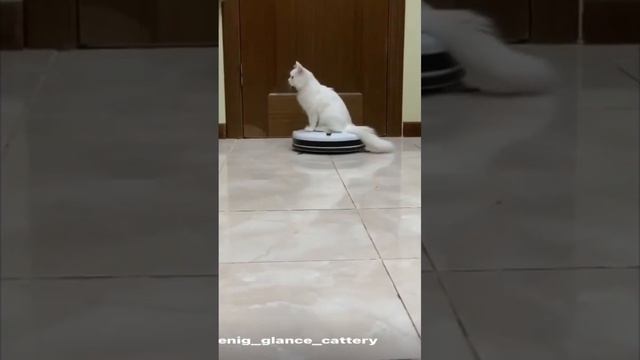 С началом рабочей недели! Отличного настроения! #невскаямаскарадная www.koeniglance.com
