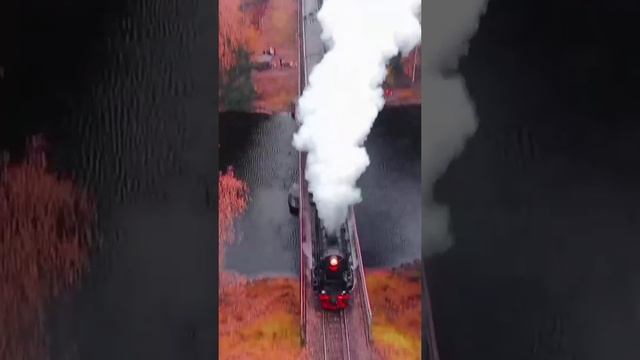 Следующая остановка ЗИМА
