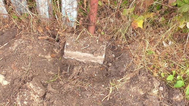 Дача. Большая переделка. Обзор старого забора из сетки рабица. 29.09. 2024 г.