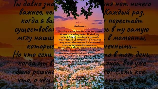 История 2 Больше историй: t.me/why_you_leave