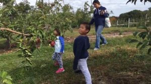 GeGe and baby gurl go apple picking!