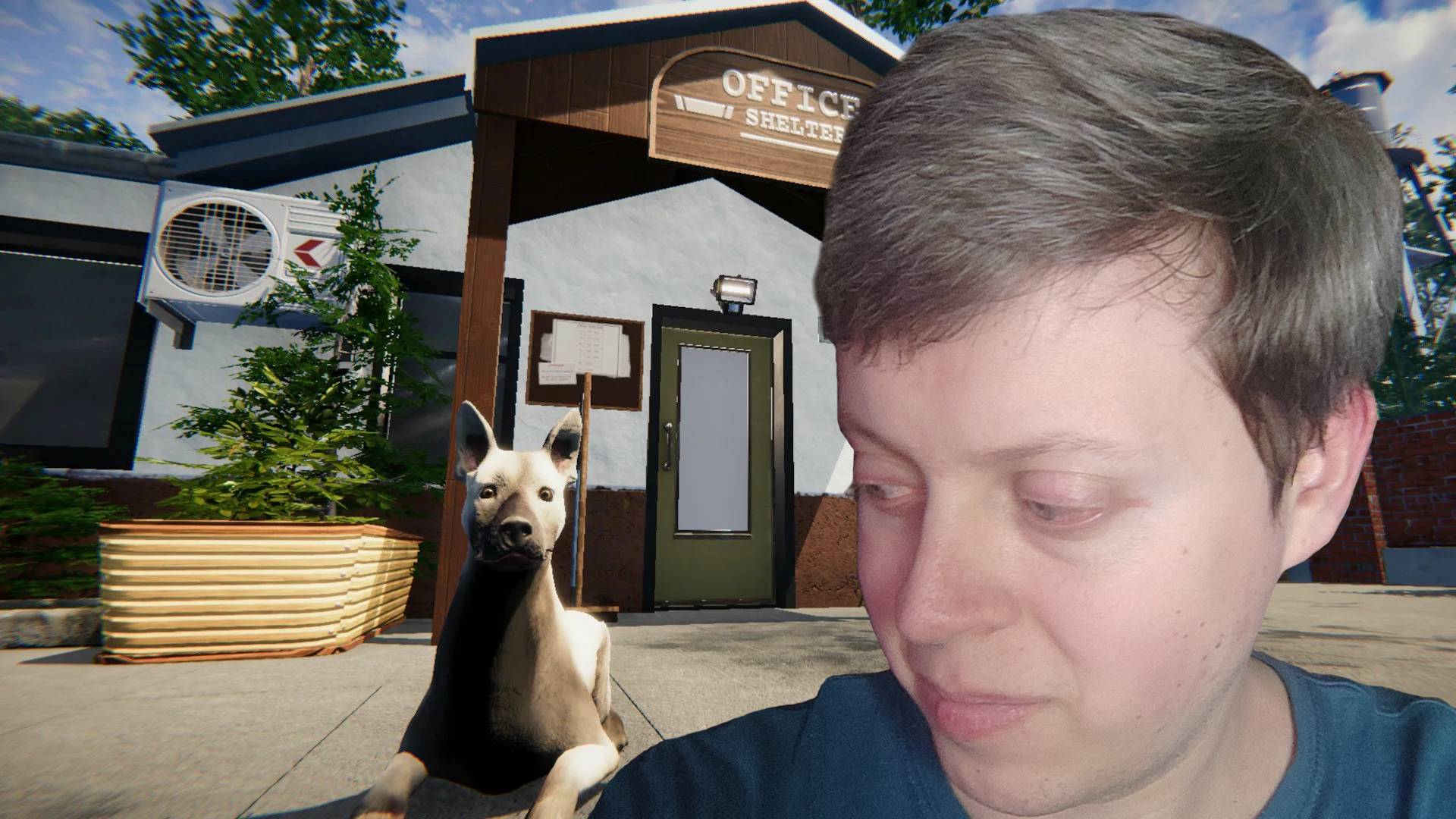 Animal Shelter Prologue - ВЗЯЛ КОТИКА В СВОЙ ПРИЮТ