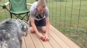 How to split an apple with your finger