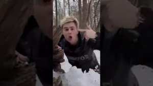 Skandawoo - волк и псы