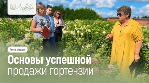 ОСНОВЫ УСПЕШНОЙ ПРОДАЖИ ГОРТЕНЗИИ