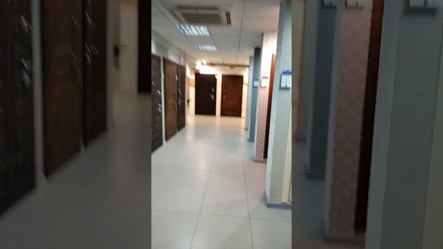 Входные и межкомнатные двери в Домодедово