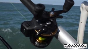 💥10/10 HIGHLY RECOMMEND DAIWA REELS 🎣