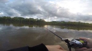 Обзор SHIMANO Scorpion DC7 и Major Craft N One