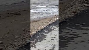 Перекресток возле поселка Хорошего.