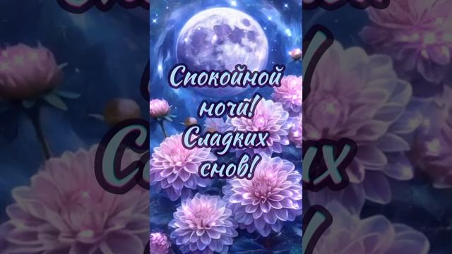 Спокойной ночи! Сладких снов!
