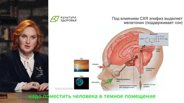 Проблемы сна (часть 1)