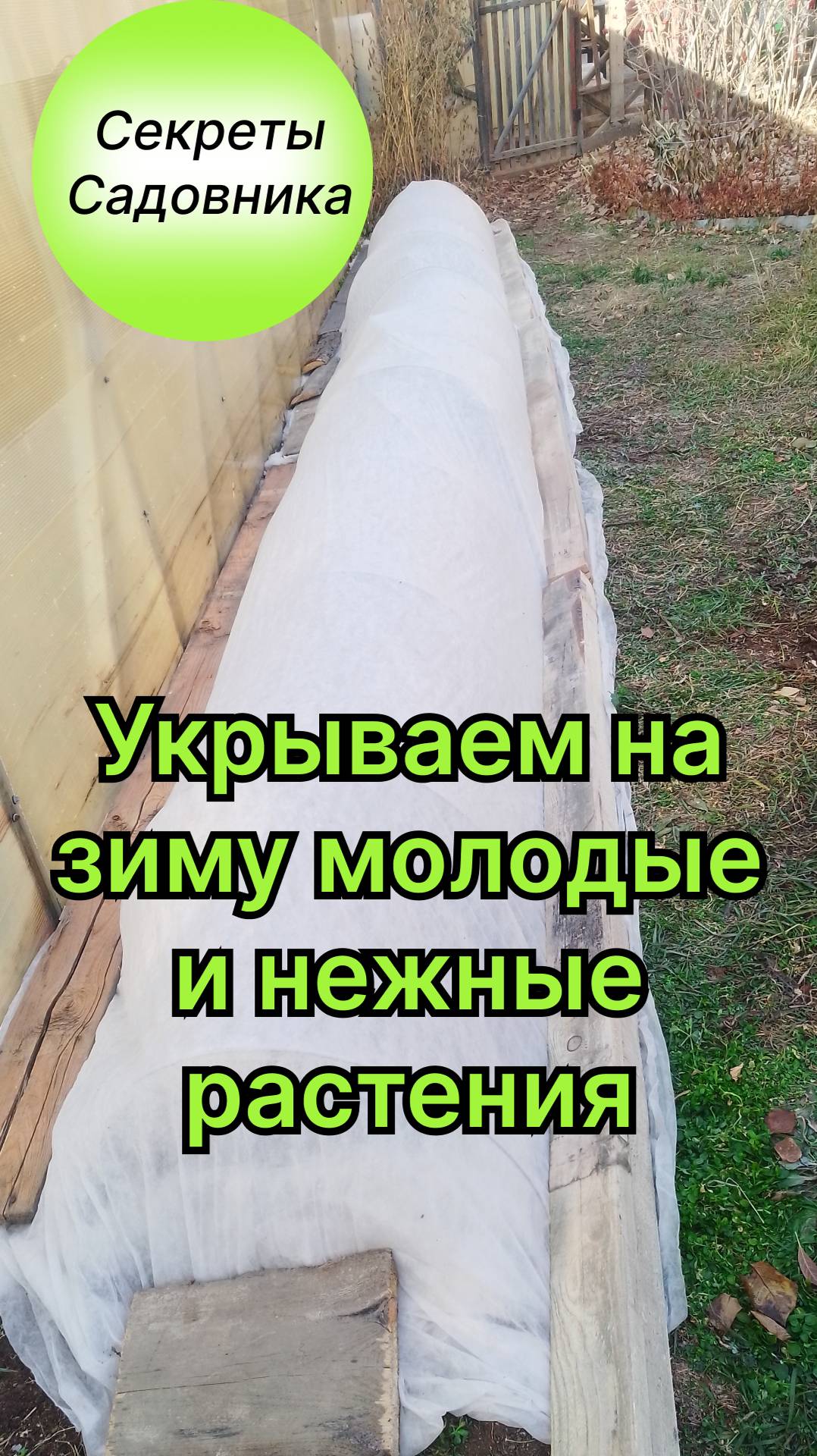 Укрываем на зиму