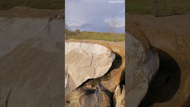 Каменный лес под Воронежем!