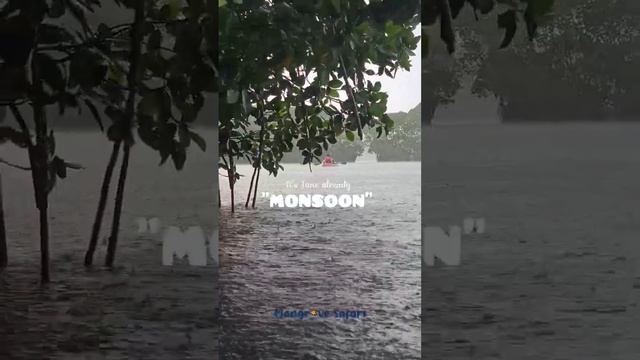 "MONSOON"🌧️🌳🚣♂️🌳 LOCATION 📍 MANGROVE SAFARI ✨#kayaking #rain #nature #mangroveforests #travel
