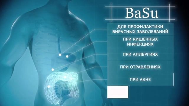 BaSu 2