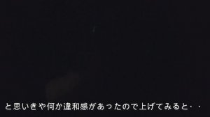 防水ブーツを履いてメバルを探しに行ったら魔物に遭遇しました【ズームサファリ404UL】