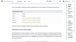 Testing Web AI Models on GPUs: Challenges, Solutions, and Best Practices