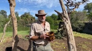 Conociendo al mono araña con Frank Carlos en Africam Safari 🐒