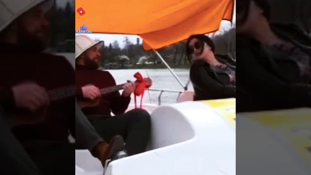 Любовь морковь до морга.
