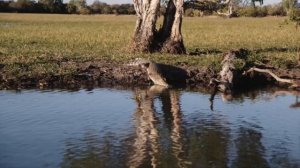 4WD Camper Adventure in the Northern Territory, with the Britz 4WD Safari Landcruiser