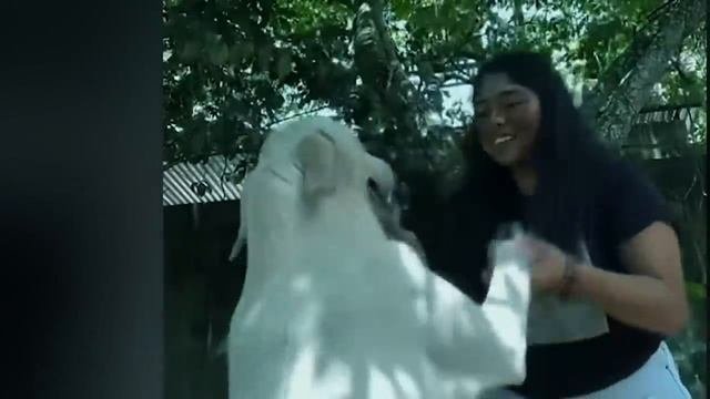 10 Жутких Видео, Которые Напугают 99% Людей