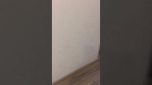 АПАРТАМЕНТЫ ул.Энтузиастов,5корп.39 - оч.4