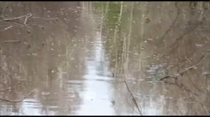 выезд 03.05.2022г пробуем 33 сафари