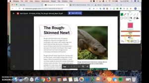 Google Chrome Extensions