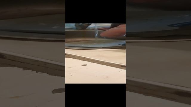 1000018704.mp4