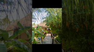 Nunda River Lodge _ Road Trip Adventure