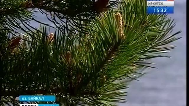 Манзурский сток