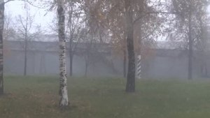 Ветер из окна автобуса