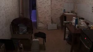 ANTICHRIST утро 07012013 на яво кухне
