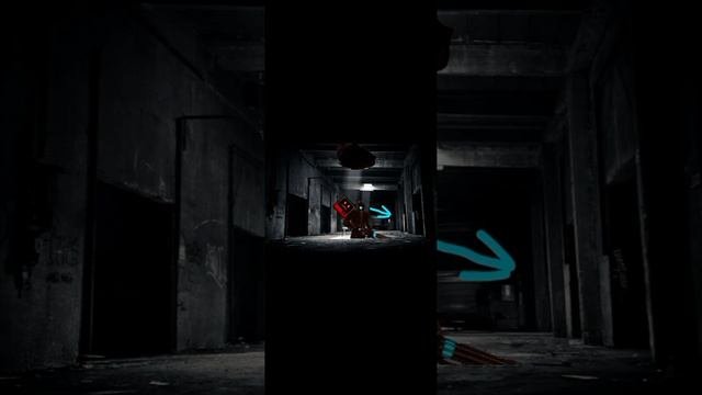 1000005259.mp4