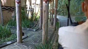 Part 2 Mara River Safari Lodge !! Safari Bali Marine Park !! Safari Journey!!