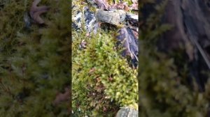 YouCut_20241026_184539659.mp4