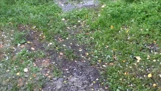 Град 10 - 15 мм | Сибирь, лето