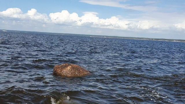 Одинокая чайка.mp4