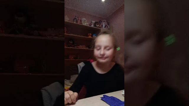 дом кошки