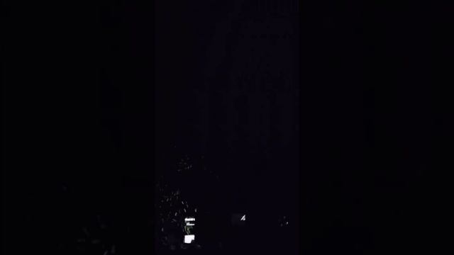 scene_output.mp4